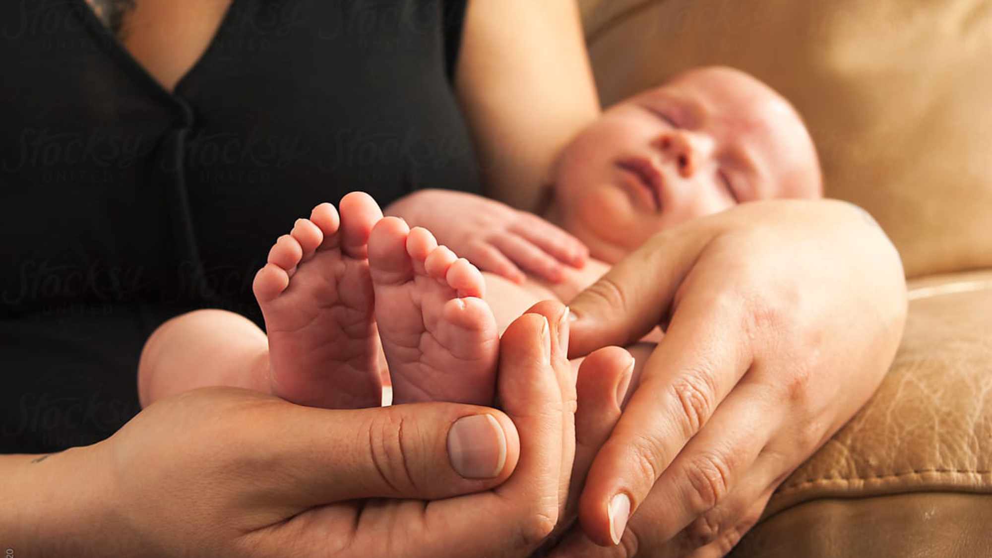 Acupuncture for Fertility & Perinatal Care at Cherry Blossom Healing Arts